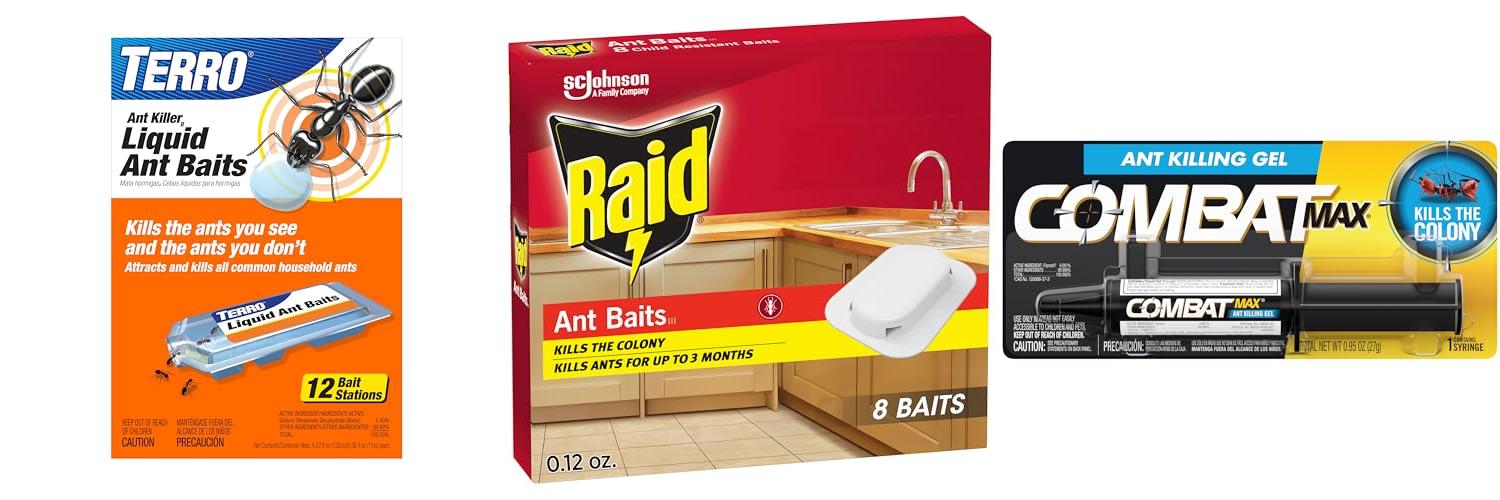 Top 5 Ant Killer For Kitchen Cupboards Canada